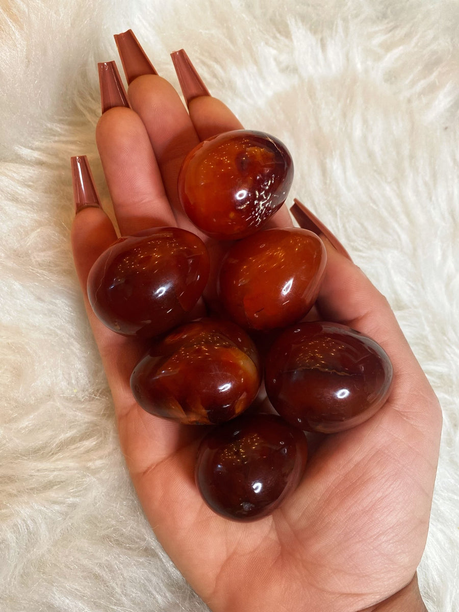 Motivation – Nectar Nine